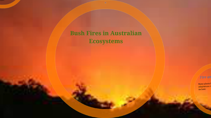Bushfires in Australian Ecosystems by Terri Vincent on Prezi
