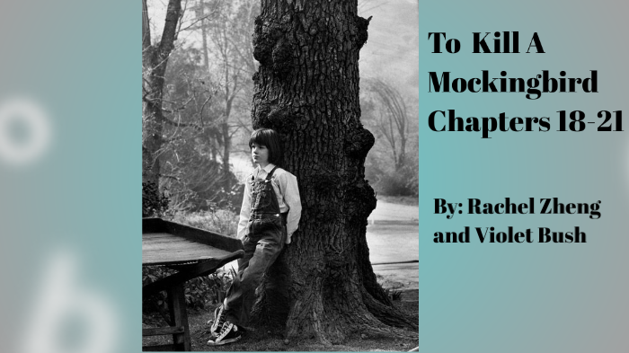 To Kill A Mockingbird Chapters 18-21 by Rachel Zheng on Prezi