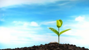 Why do we need oxygen to live? by Tiana Brincat on Prezi Design