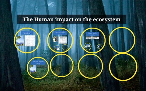 The Human impact on the ecosystem by prezi p on Prezi
