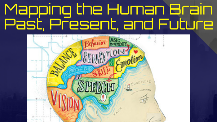 Mapping the Human Brain by on Prezi