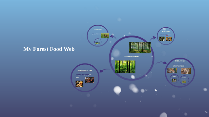 My Deciduous Forest Food Web by Alexandra Kakouras on Prezi