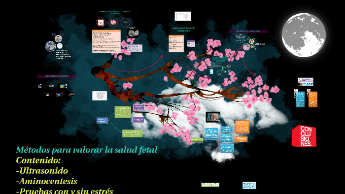UNIDAD # 5 EMBARAZO Y PARTO COMPLICADO (MÉTODOS PARA VALORAR LA SALUD ...