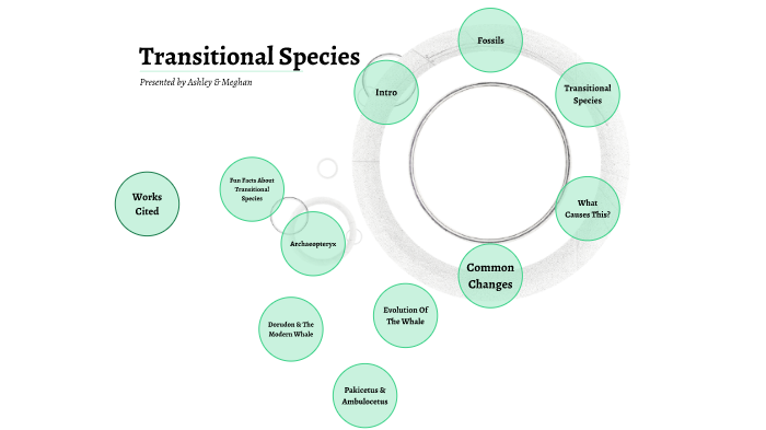 Transitional Species by Ashley Olson on Prezi