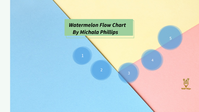 watermelon flow chart by michala phillips on Prezi