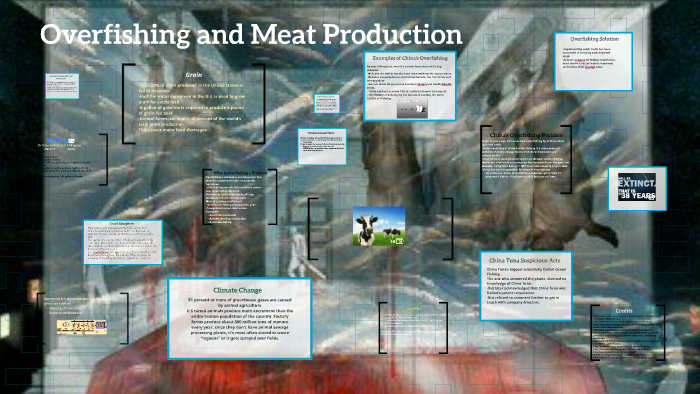 Overfishing and Meat Production by Jessica Trinh on Prezi