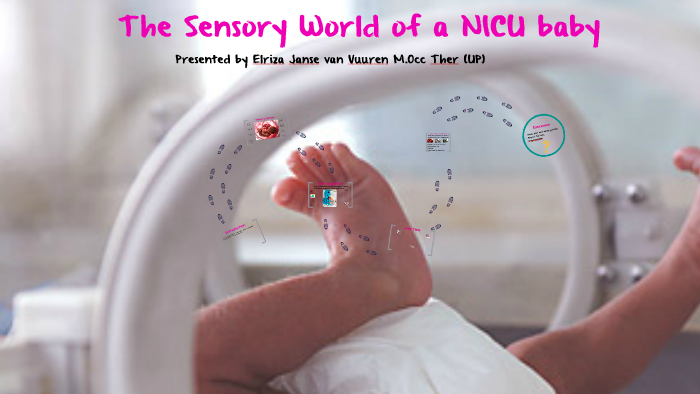 The Sensory World of a NICU baby by Elriza Janse van Vuuren