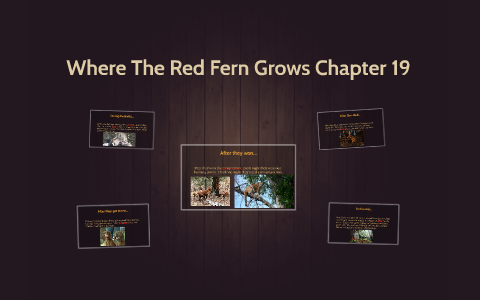 Where The Red Fern Grows Chapter 19 by Will Lauseng on Prezi
