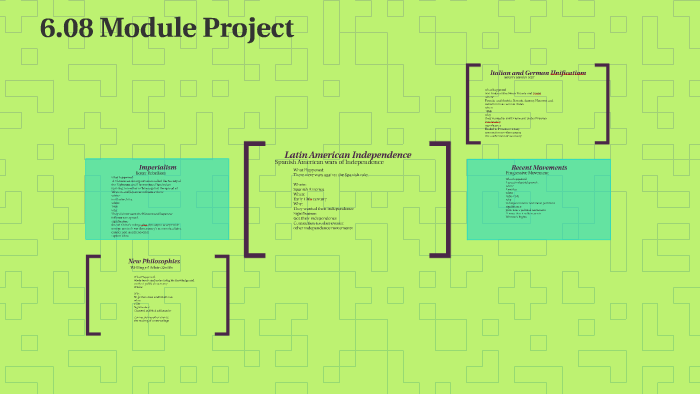 6.08 Module Project by on Prezi