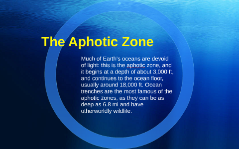 The Aphotic Zone by Haley Hettinger on Prezi