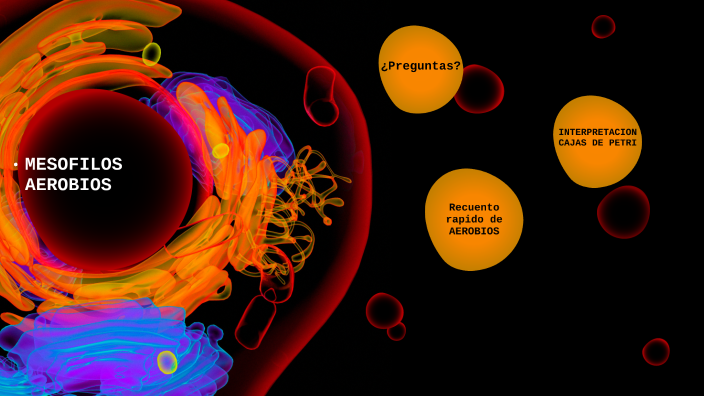 MESOFILOS AEROBIOS by Sergio Martinez on Prezi