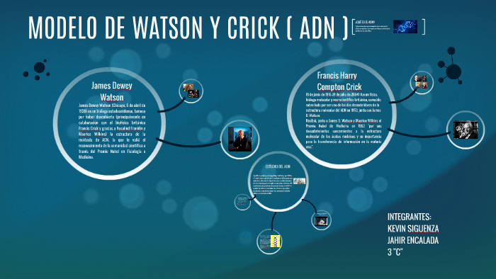 EL MODELO DE WATSON Y CRICK- ADN by Kevin Andy on Prezi