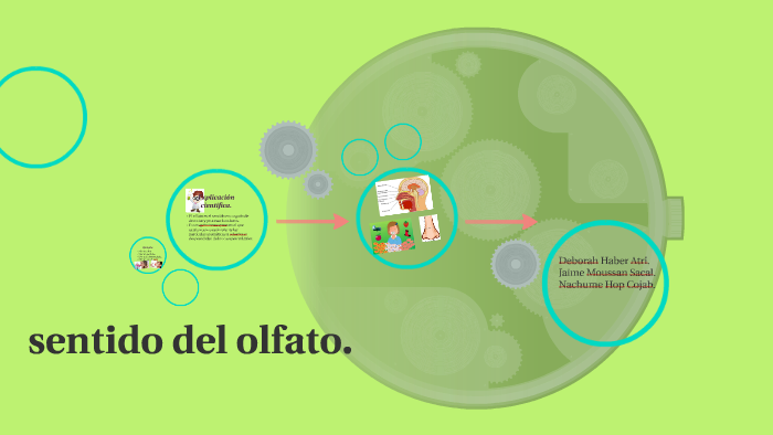 sentido del Olfato by deborah haber on Prezi