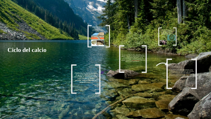 Ciclo del clacio by laura molina on Prezi