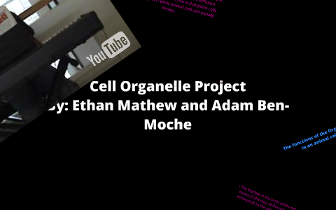 Cell Project The Inside an Out by Ethan Mathew on Prezi