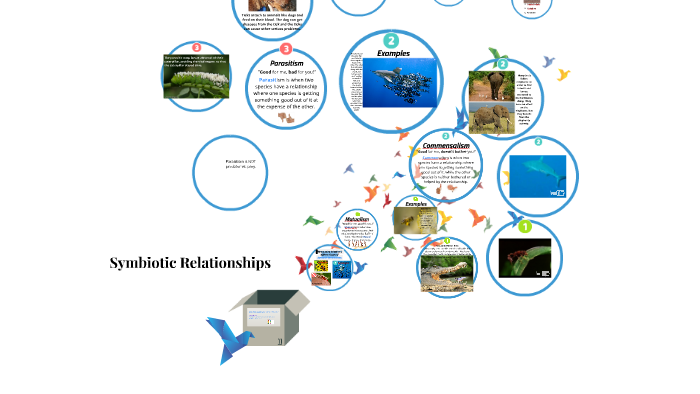 Let's learn about Symbiotic Relationships by courtney coles on Prezi
