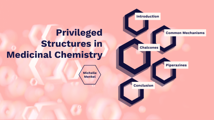Privileged structures by Michelle Menkel on Prezi
