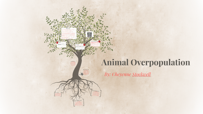 Animal Overpopulation by cheyenne stockwell on Prezi