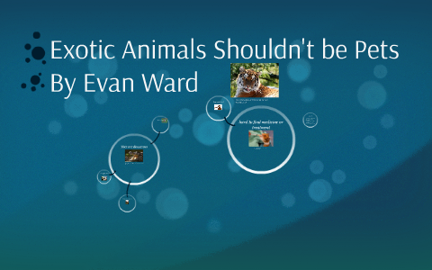 Exotic Animals Shouldn't be Pets by on Prezi