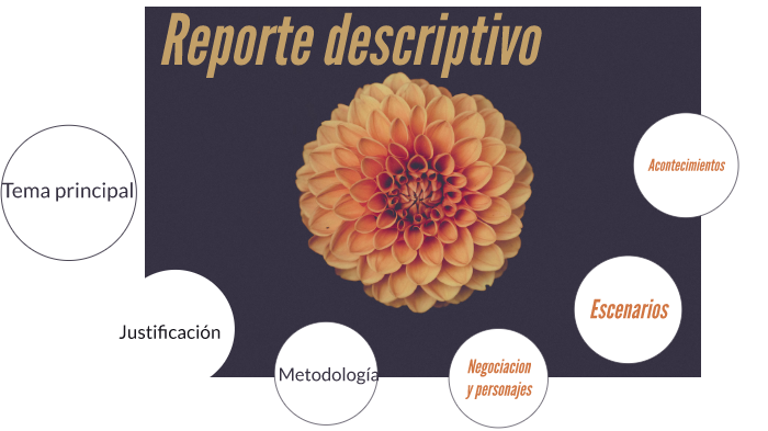 Reporte descriptivo by Diana castro on Prezi