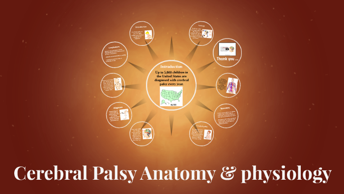 Cerebral Palsy Anatomy & physiology by hasn azoz on Prezi