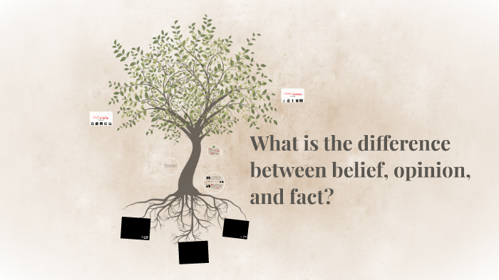 What is the difference between belief, opinion, and fact? by Stephanie ...