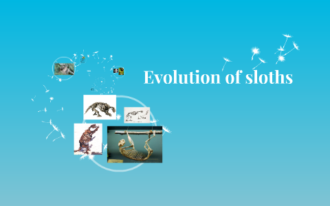 Evolution of sloths by Tiffany King on Prezi