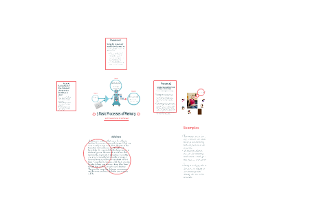 3 basic processes of memory by kayla Austin on Prezi
