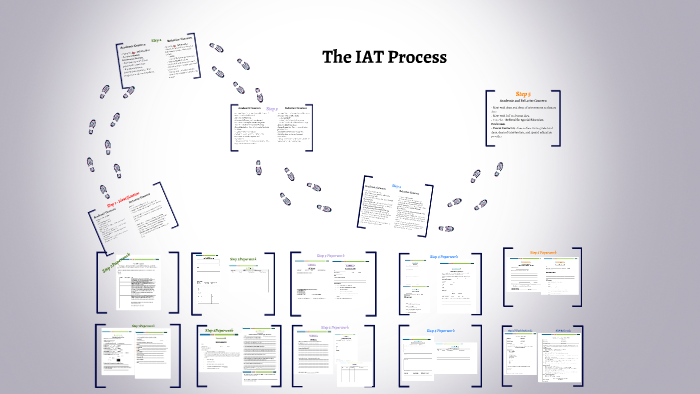 The IAT Process by Erin Baller on Prezi