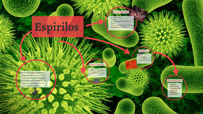 Espirilos by Ulises Andrade on Prezi