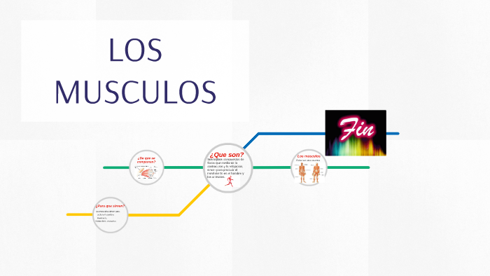 LOS MUSCULOS by Gabriel Falcon on Prezi