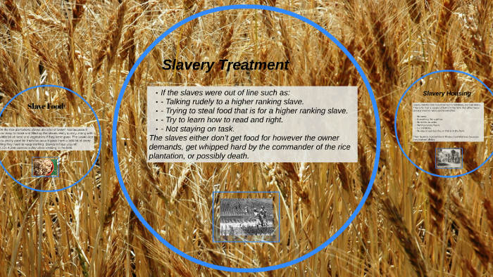 South Carolina Rice Plantations by Ethan Flow on Prezi