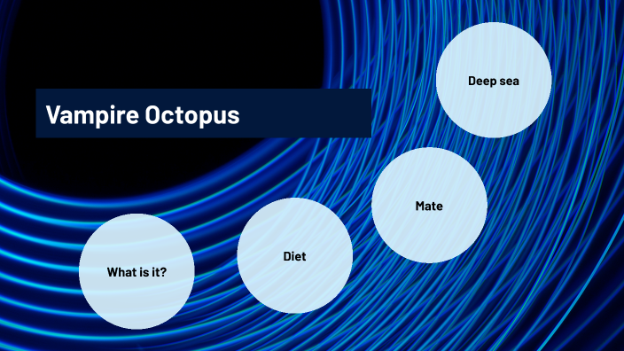 vampire octopus by Emmerson Clarke on Prezi