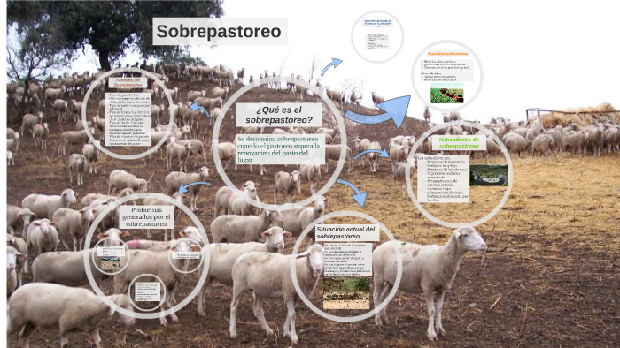 Sobrepastoreo by Agustin Coraglio on Prezi