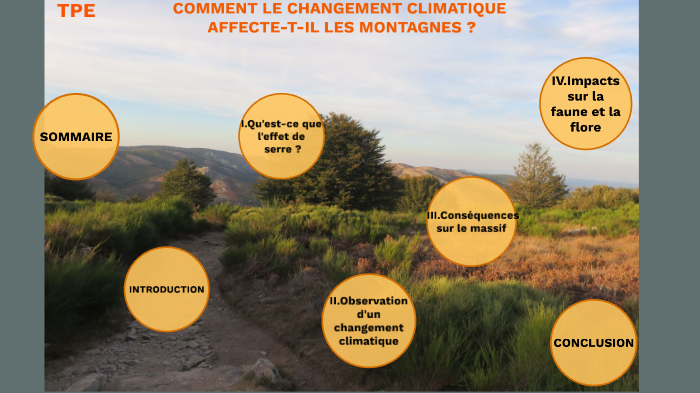 tpe by mona marchant on Prezi