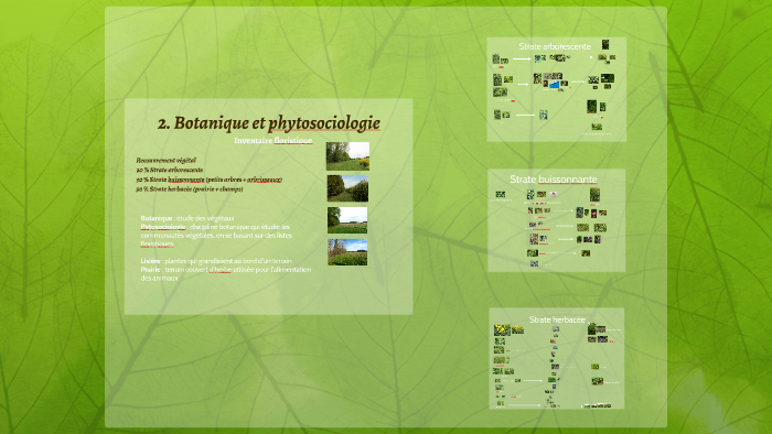 Ecosystème by Eva Nowak on Prezi