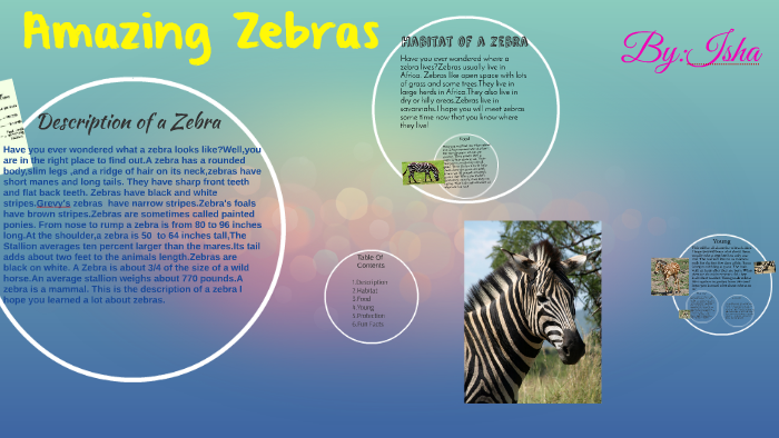 All About Zebras by on Prezi