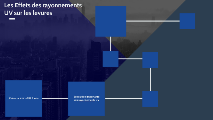 Les Effets des rayonnements UV sur les levures by ewan perea on Prezi