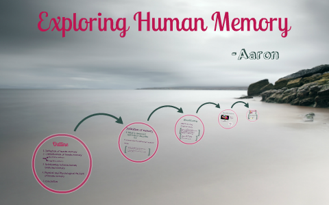 research paper -- exploring memory by xinyu wang on Prezi