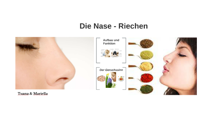 Die Nase - Riechen by Mariella Gauks on Prezi