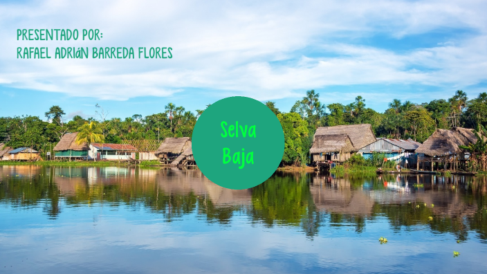 Omagua o Selva Baja by ERIKA FLORES on Prezi