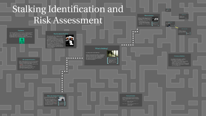 (Final) Stalking Identification and Risk Assessment (Stalking Awareness ...