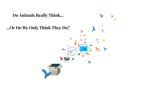 Do Animals Really Think... by Hunter PreziWon’tLetMeHideThisFromSea