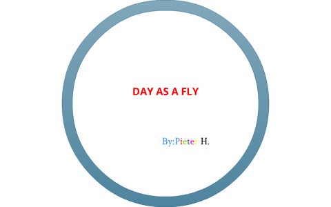 Pieter by Kait Gentry on Prezi