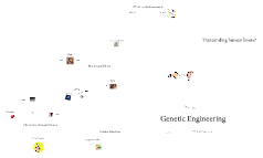 Genetic Engineering by Sam Frishman on Prezi