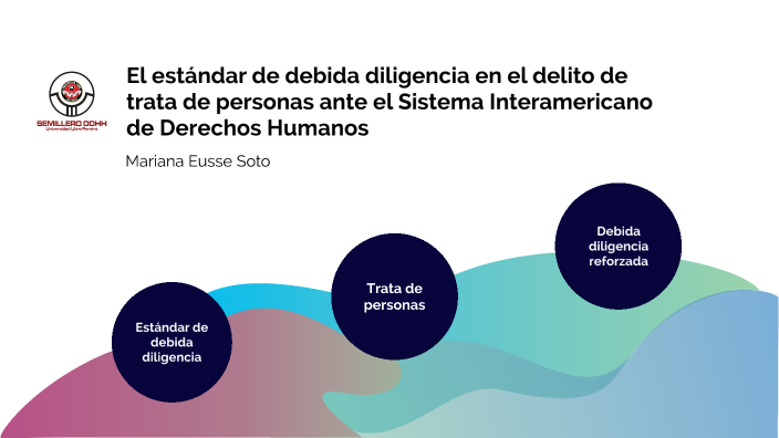Estándar de debida diligencia by Mariana Eusse on Prezi