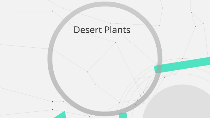 The Australian Outback Food Web by Kajal Sharma on Prezi