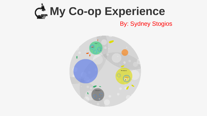 My Co-op Experience by Sydney Stog on Prezi