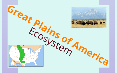 Ecosystem- Great Plains of America by shannon clicquennoi on Prezi
