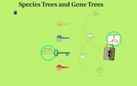 Species Trees and Gene Trees by Valorie Lyman on Prezi